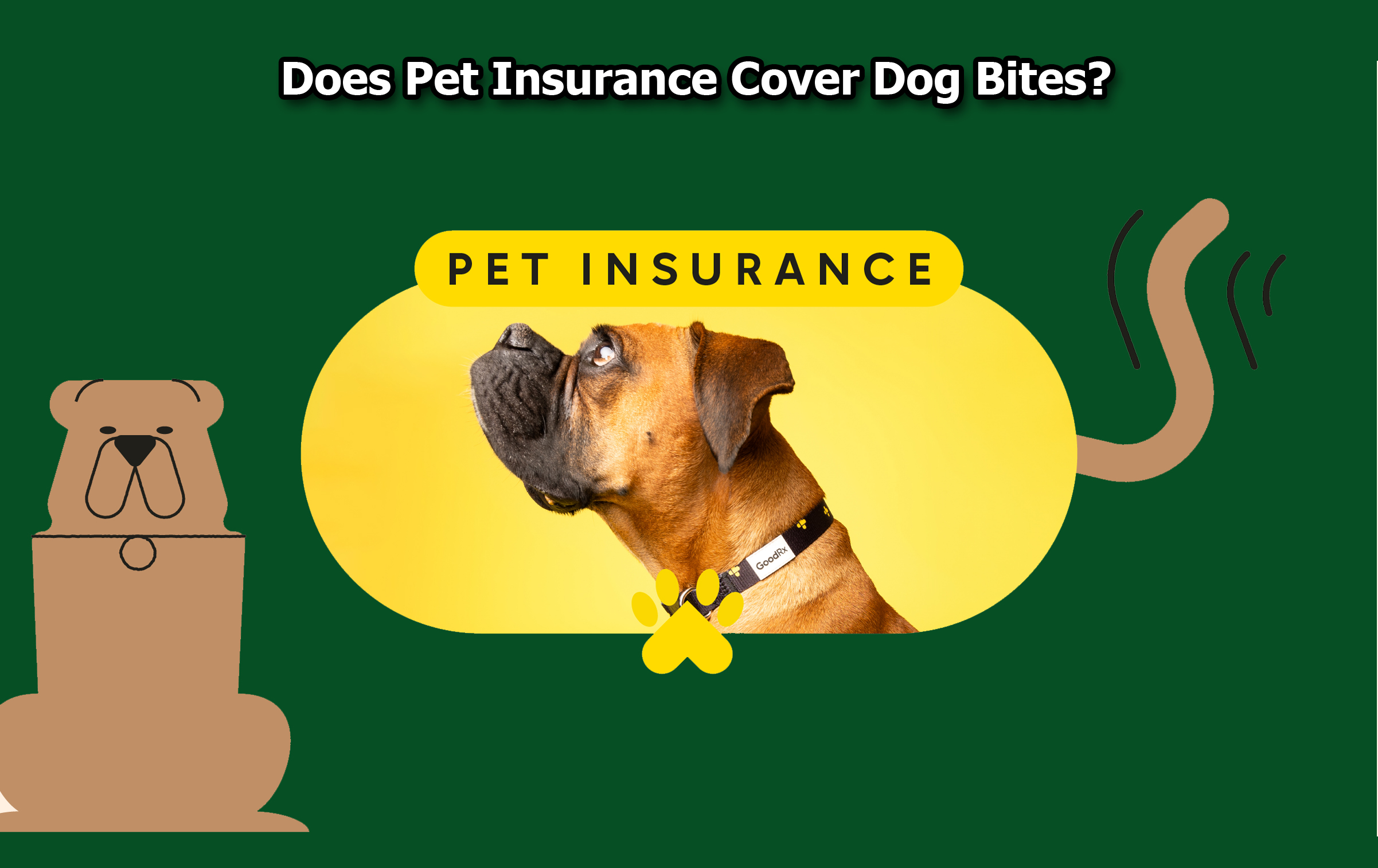 Does Pet Insurance Cover Dog Bites? - kttpharm