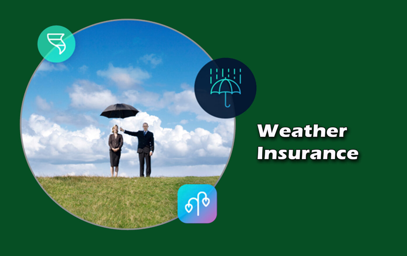 Weather Insurance - kttpharm